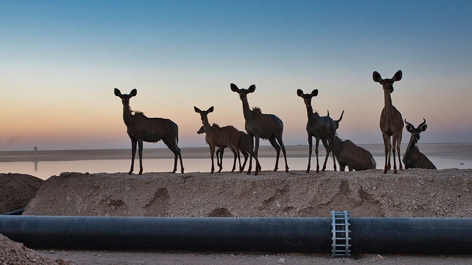 ORAPA FINES RESIDUAL DAMS | BULK EARTHWORKS