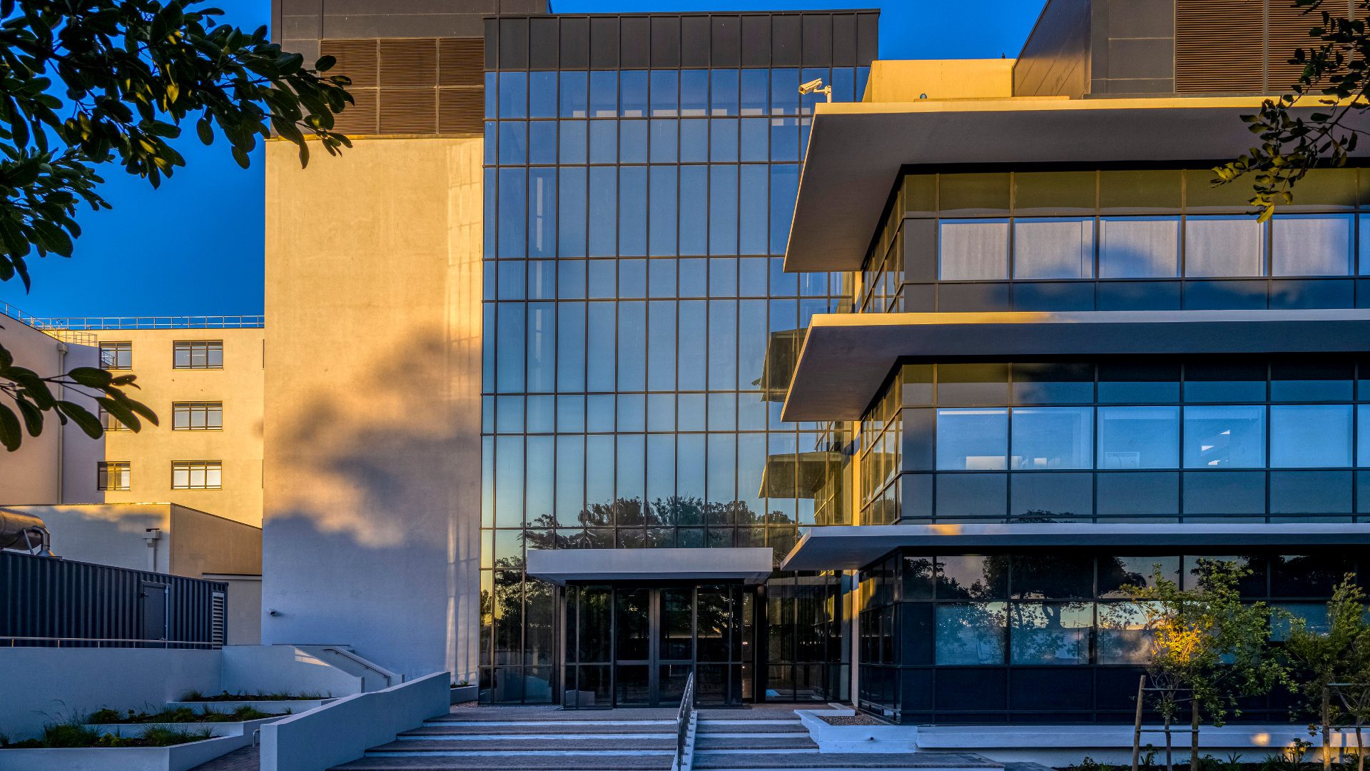 BIOMEDICAL RESEARCH INSTITUTION | SPECIAL PROJECTS